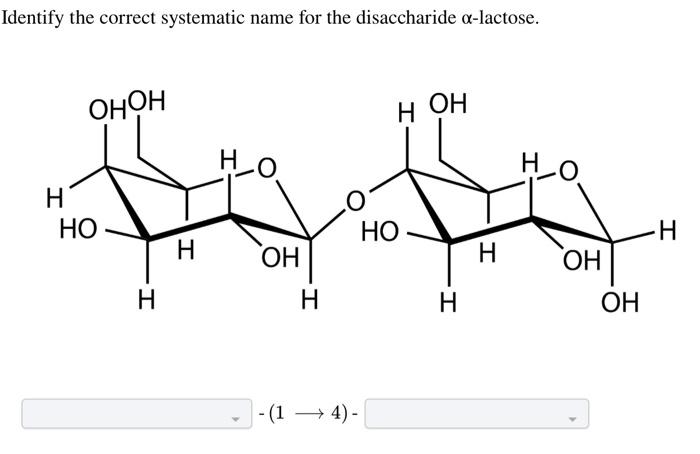 Identify the correct systematic name for the | Chegg.com