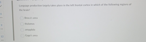 Solved Language production largely takes place in the left | Chegg.com