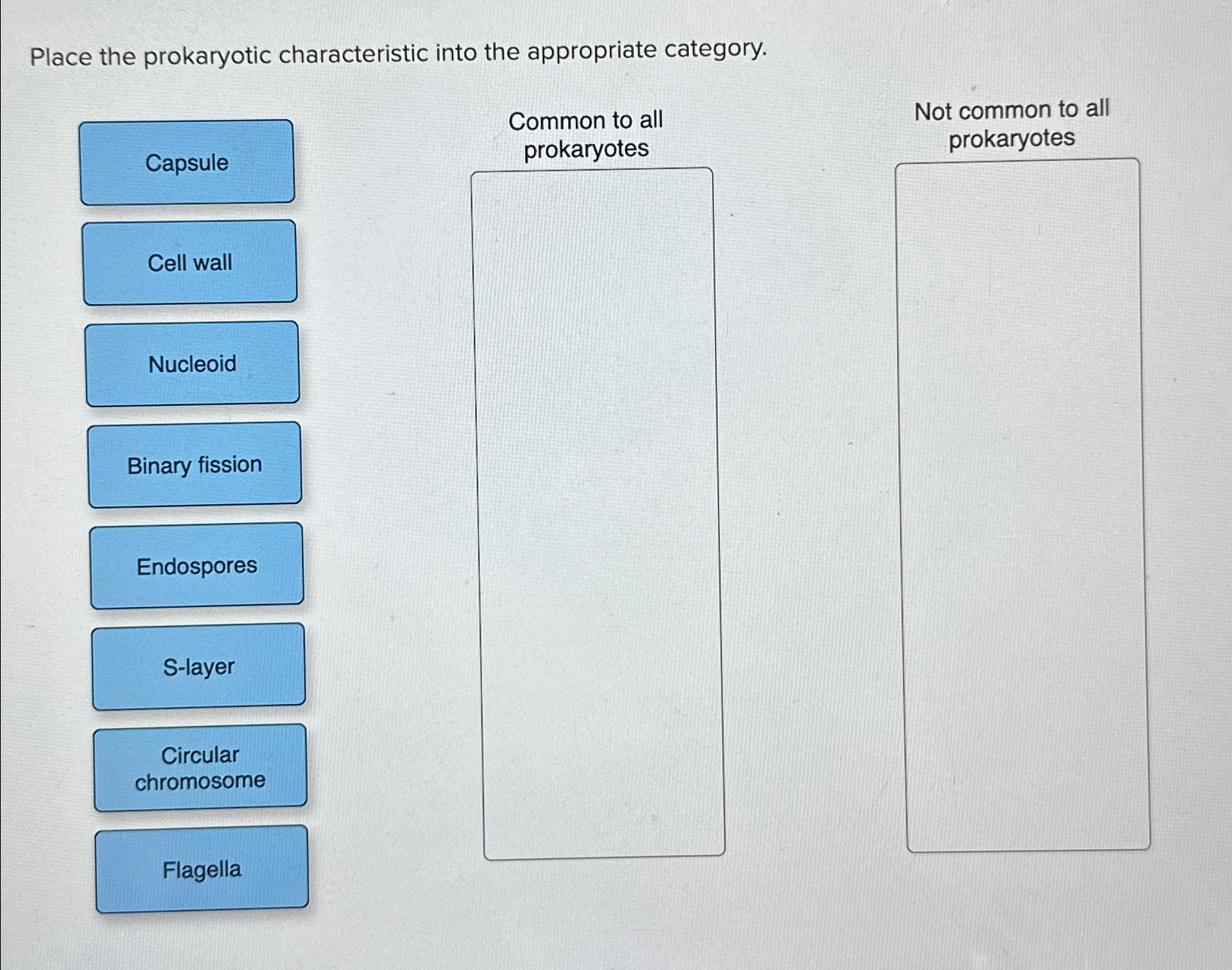 Solved Place the prokaryotic characteristic into the | Chegg.com