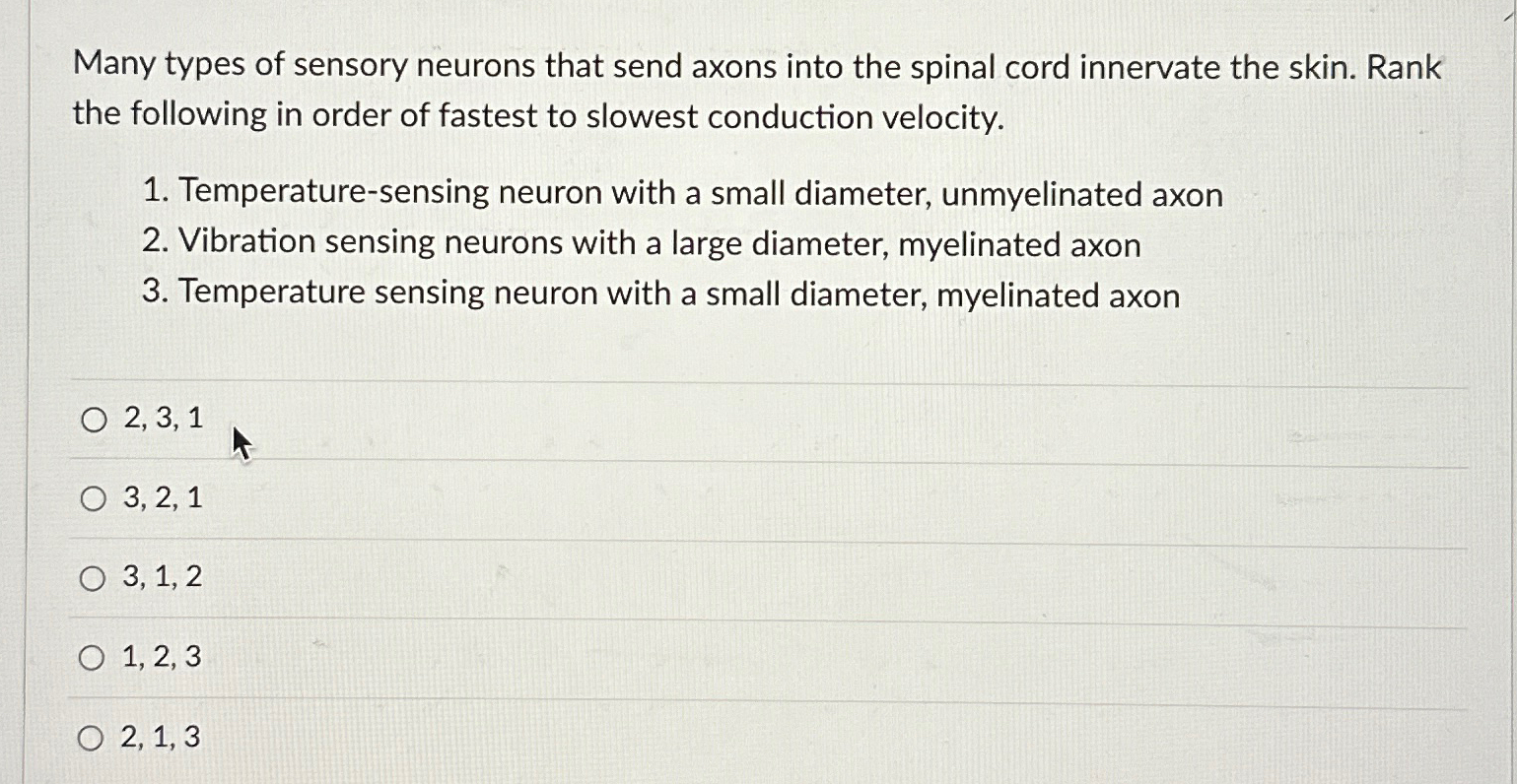 Solved Many types of sensory neurons that send axons into | Chegg.com