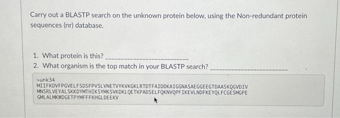 Solved Carry out a BLASTP search on the unknown protein | Chegg.com