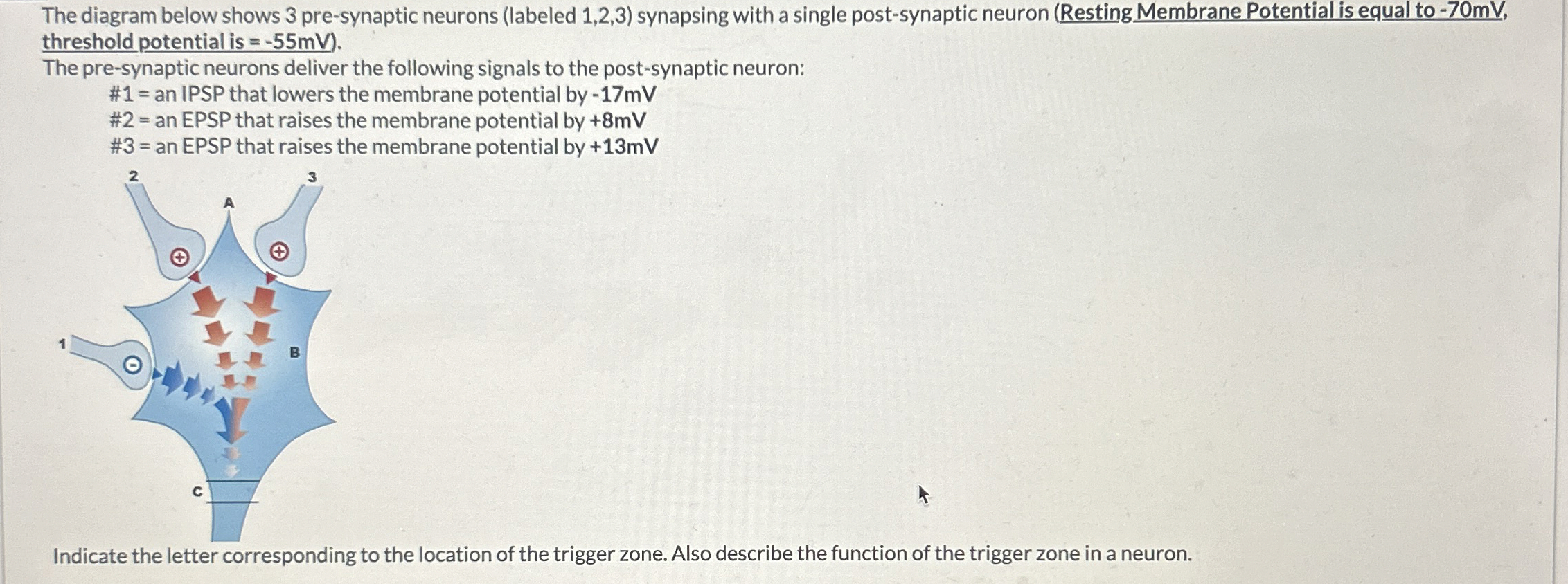 Solved The diagram below shows 3 ﻿pre-synaptic neurons | Chegg.com