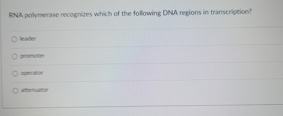 Solved RNA polymerase recognizes which of the following DNA | Chegg.com