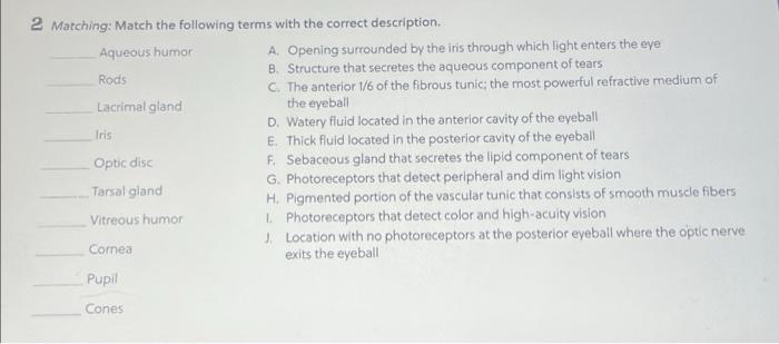 Solved 2 Matching: Match the following terms with the | Chegg.com