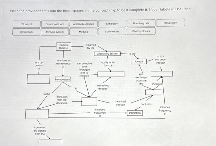 Solved Place The Provided Terms Into The Blank Spaces On The