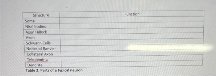 Solved tade L. Parts or a typical neuron | Chegg.com