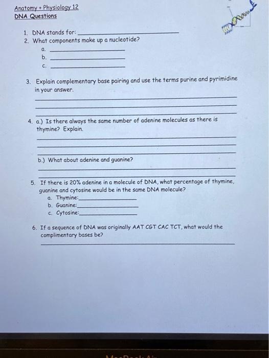 Section 12 1 Dna What Is The Makeup Of A Nucleotide | Saubhaya Makeup