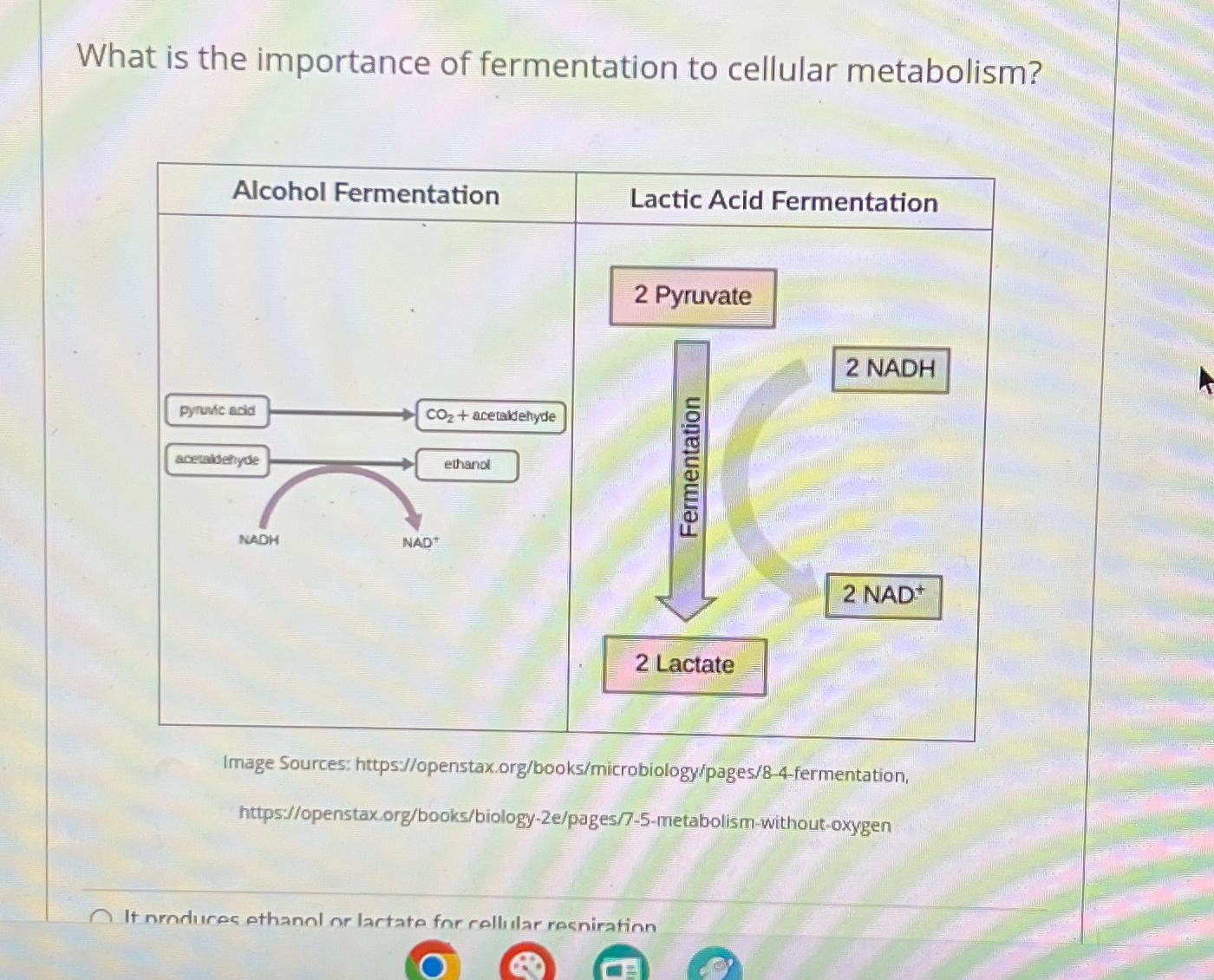 What is the importance of fermentation to cellular | Chegg.com