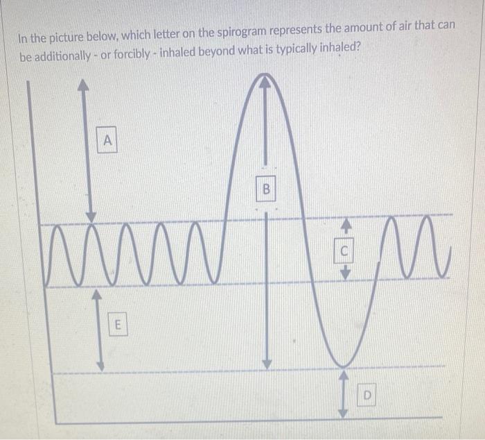 In the picture below, which letter on the spirogram | Chegg.com