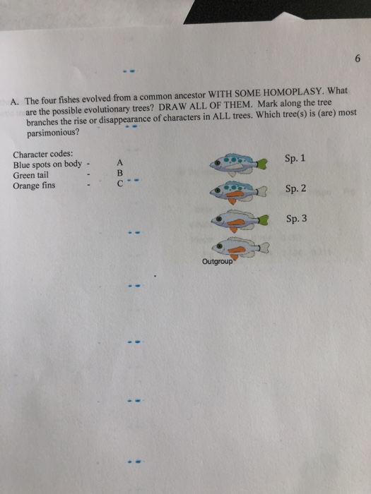 Solved 6. A. The four fishes evolved from a common ancestor | Chegg.com