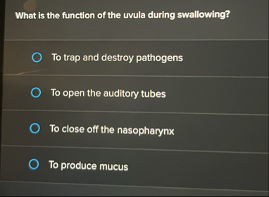 Solved What is the function of the uvula during | Chegg.com