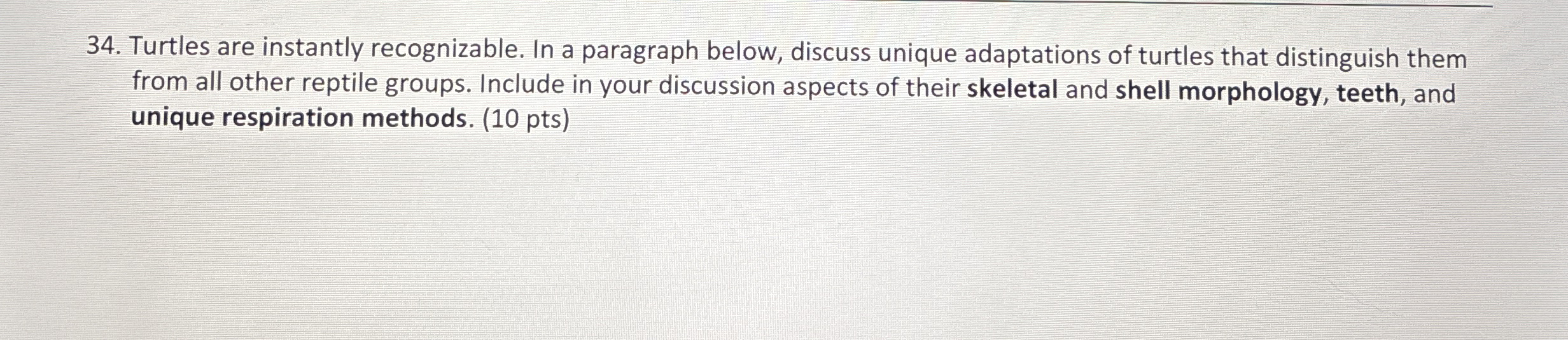 Solved Turtles are instantly recognizable. In a paragraph | Chegg.com