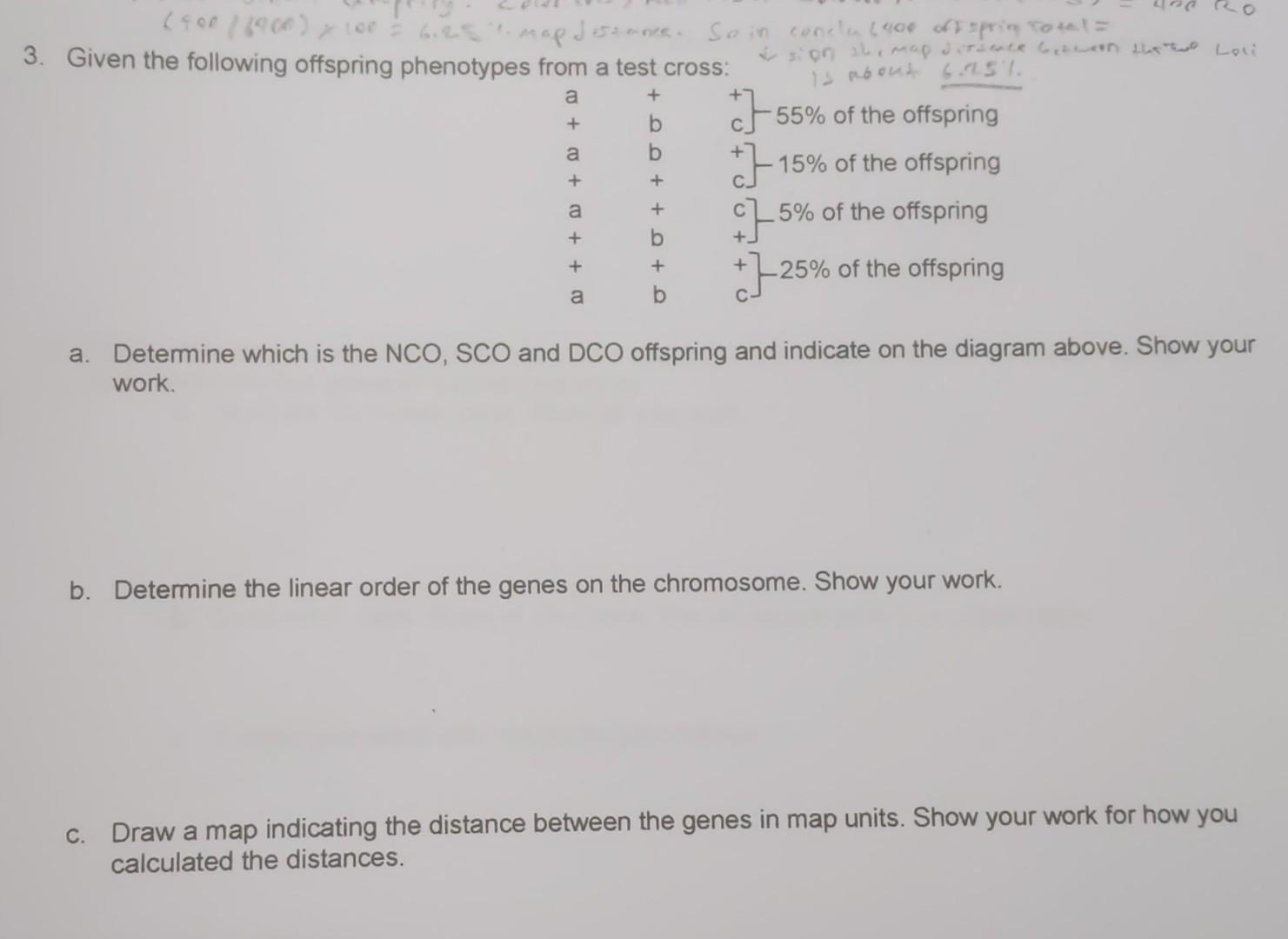 Solved 3. Given the following offspring phenotypes from a | Chegg.com