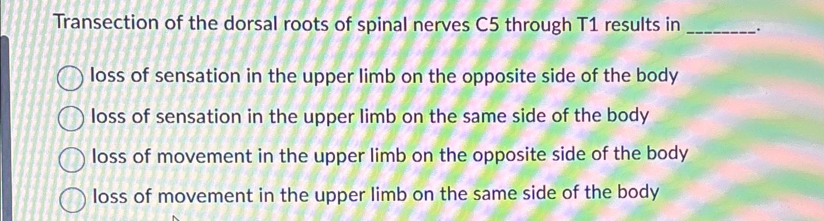 Solved Transection of the dorsal roots of spinal nerves C5 | Chegg.com
