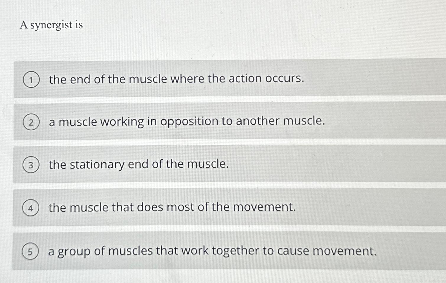 Solved A synergist isthe end of the muscle where the action | Chegg.com