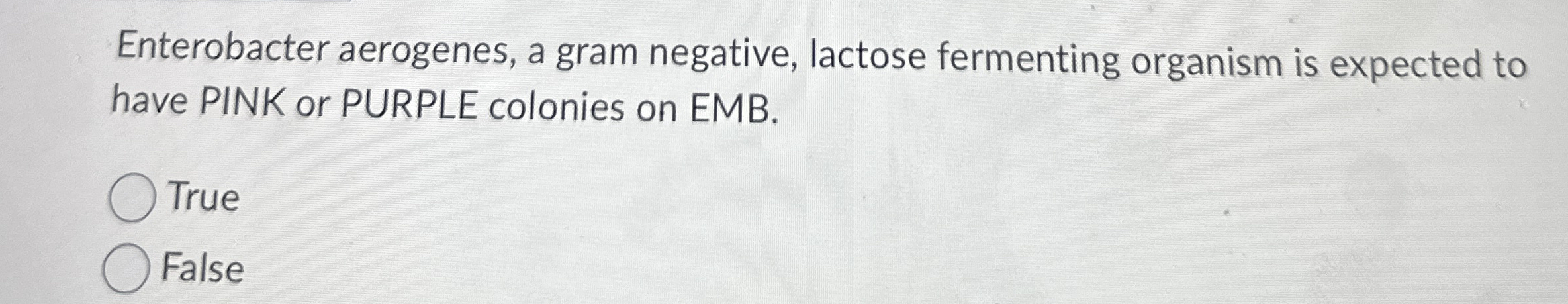 Solved Enterobacter aerogenes, a gram negative, lactose | Chegg.com