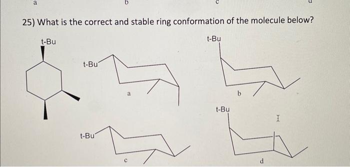 Solved 25) What is the correct and stable ring conformation | Chegg.com