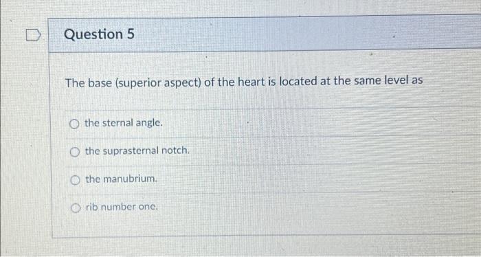 Solved Question 5 The base (superior aspect) of the heart is | Chegg.com
