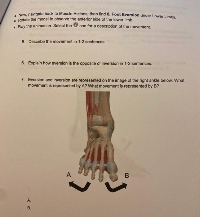 Solved Activity 3: Forearm and Ankle Movements Part 1: | Chegg.com
