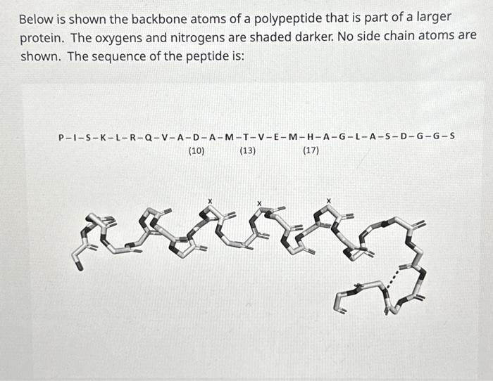 Solved Below is shown the backbone atoms of a polypeptide | Chegg.com