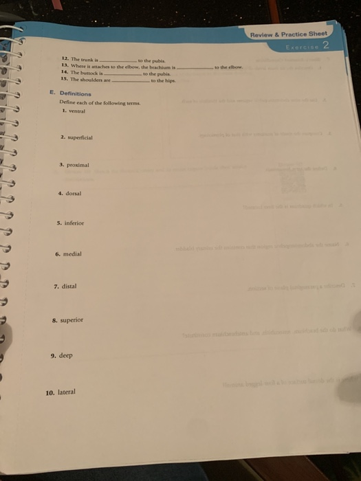 Solved Review & Practice Sheet Exercise 2 4. Label the | Chegg.com