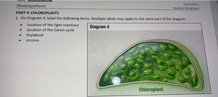 Solved 3. On Diagram 1, fill in the labels with | Chegg.com