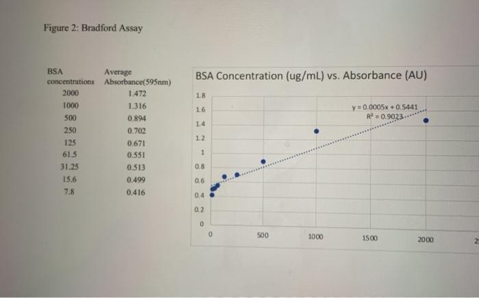 Solved Total Protein Concentration of Unknowns Lowry Assay | Chegg.com