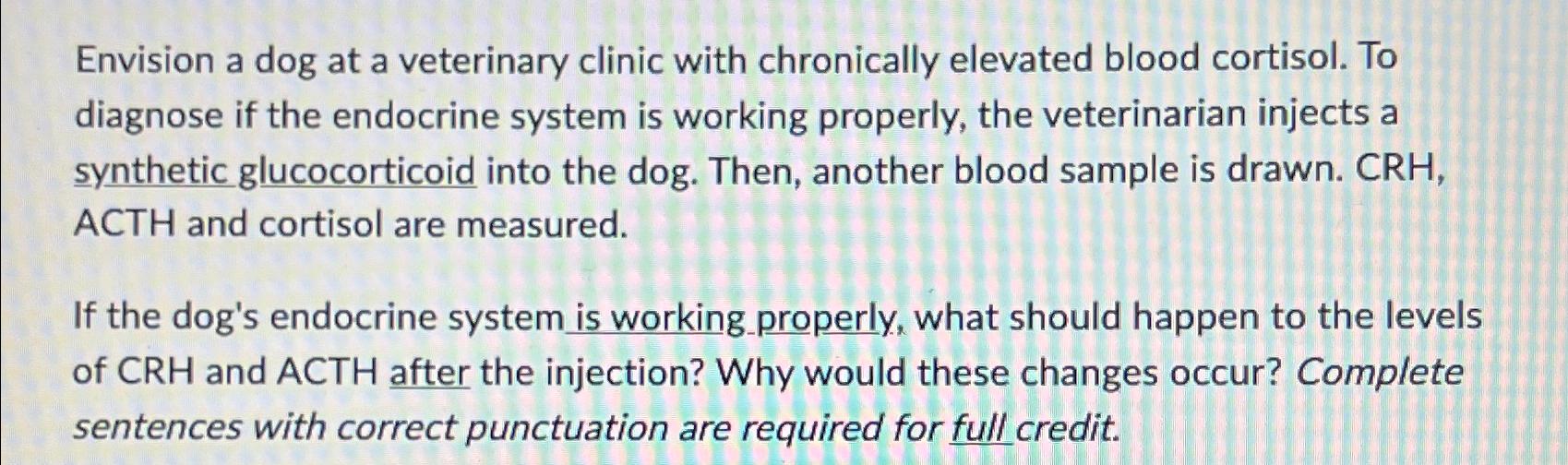 Solved Envision a dog at a veterinary clinic with | Chegg.com