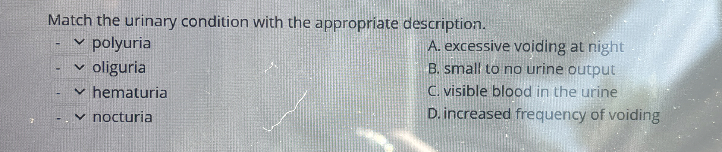 Solved Match the urinary condition with the appropriate | Chegg.com