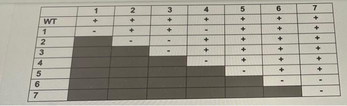 Solved List the complementation groups and the strains that | Chegg.com