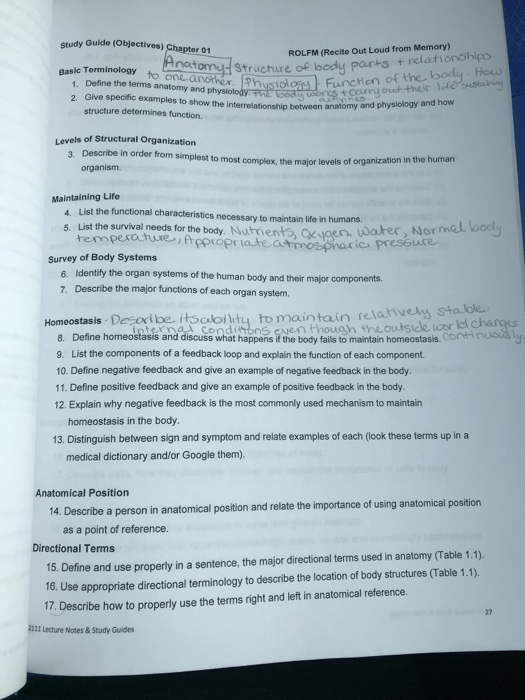 Solved 1 Define The Terms Anatomy And Physiology The Body Chegg