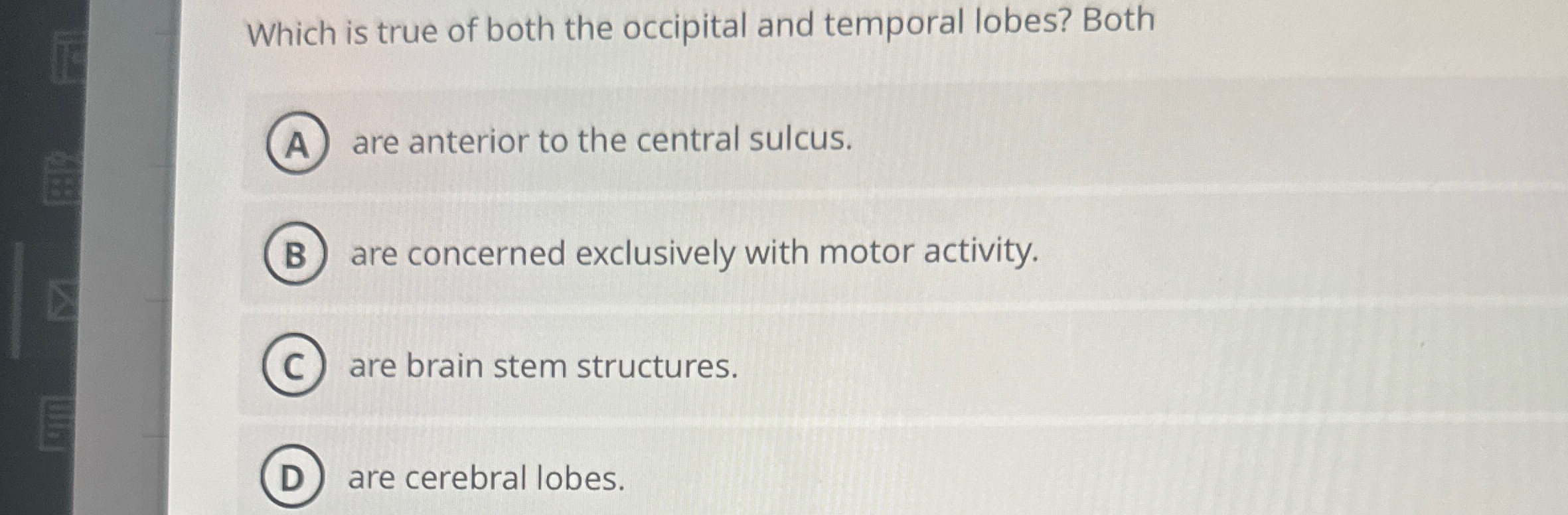 Solved Which is true of both the occipital and temporal | Chegg.com