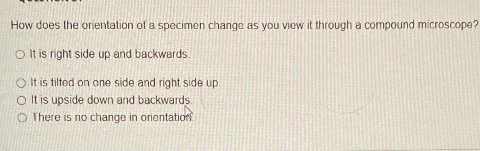 Solved How does the orientation of a specimen change as you | Chegg.com