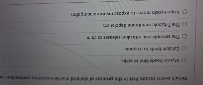 Solved Which event occurs first in the process of skeletal | Chegg.com