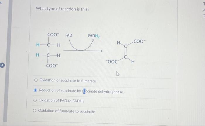 Solved What type of reaction is this? Oxidation of succinate | Chegg.com
