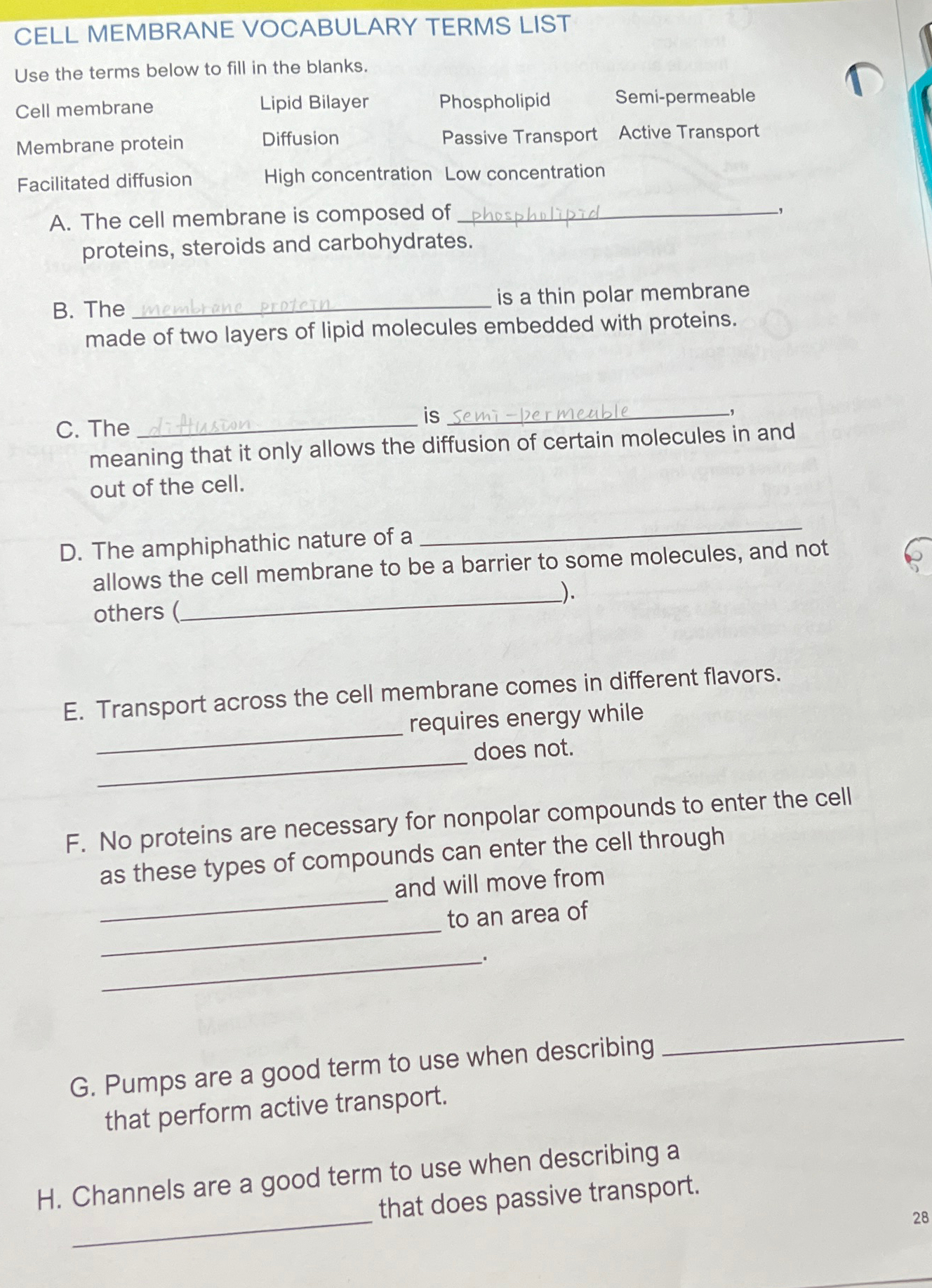 Solved CELL MEMBRANE VOCABULARY TERMS LISTUse the terms | Chegg.com