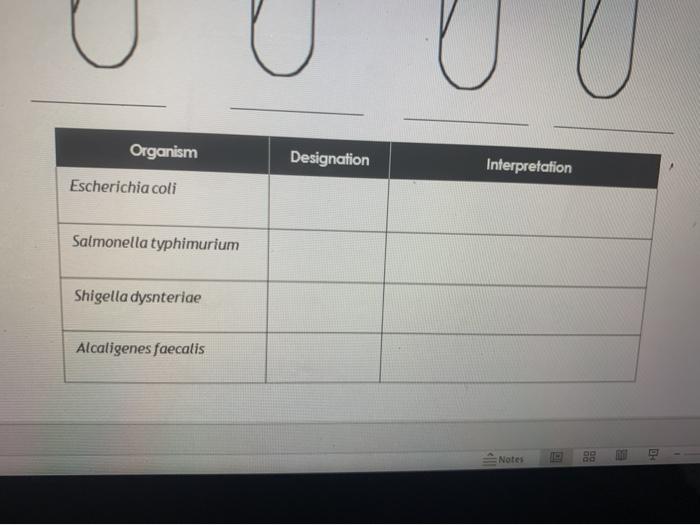 Solved Organism Designation Interpretation Escherichia coli | Chegg.com