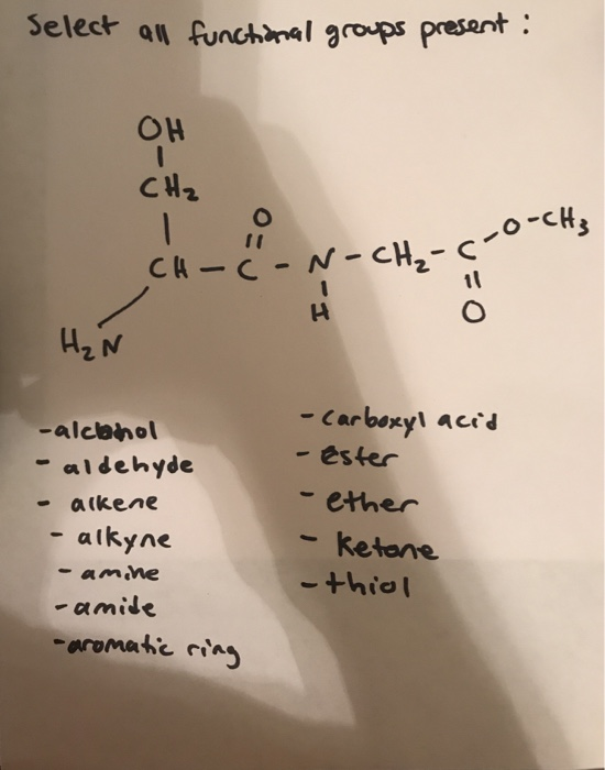 Solved CH-C-N-CH₂-c-O-CH3 Select all functional groups | Chegg.com