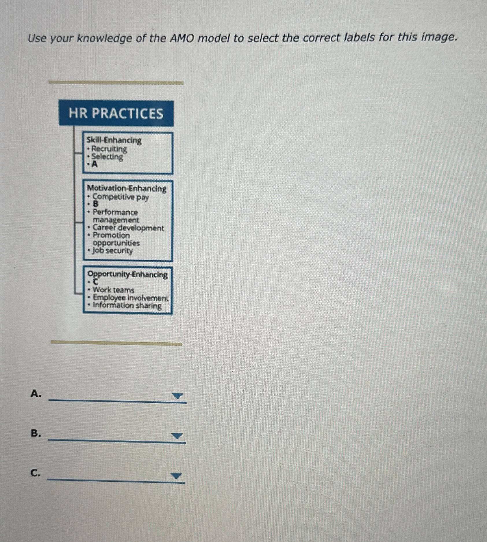 Solved Use your knowledge of the AMO model to select the | Chegg.com