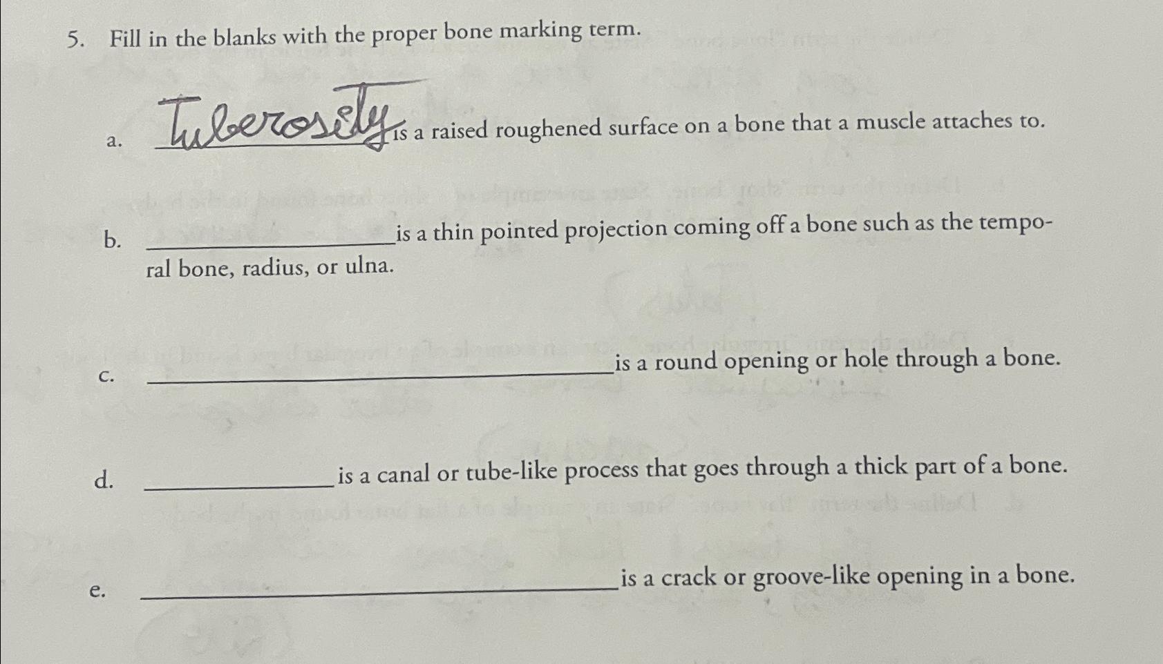 Solved Fill in the blanks with the proper bone marking | Chegg.com