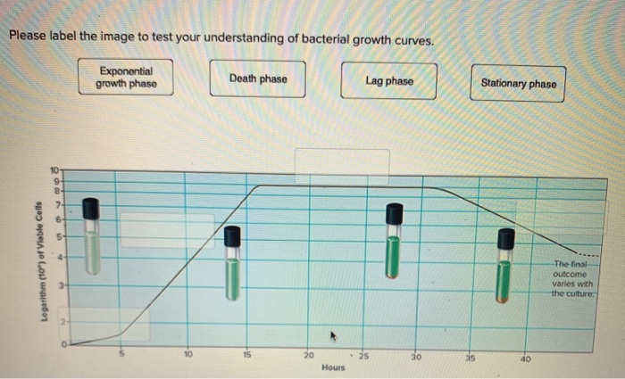 Solved Please label the image to test your understanding of | Chegg.com