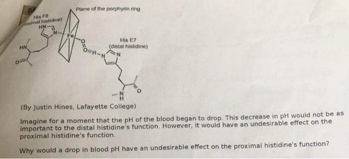 Solved Plane of the porphyrin ring His F8 aximal histidine) | Chegg.com