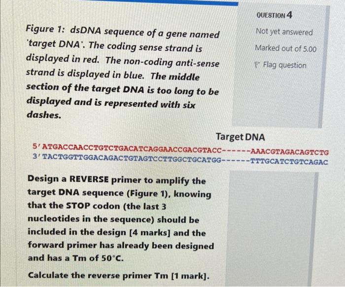Solved OUESTION 4 Figure 1: dsDNA sequence of a gene named | Chegg.com