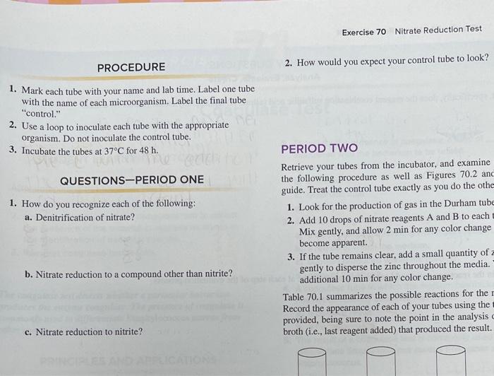 Solved PROCEDURE 2. How would you expect your control tube | Chegg.com