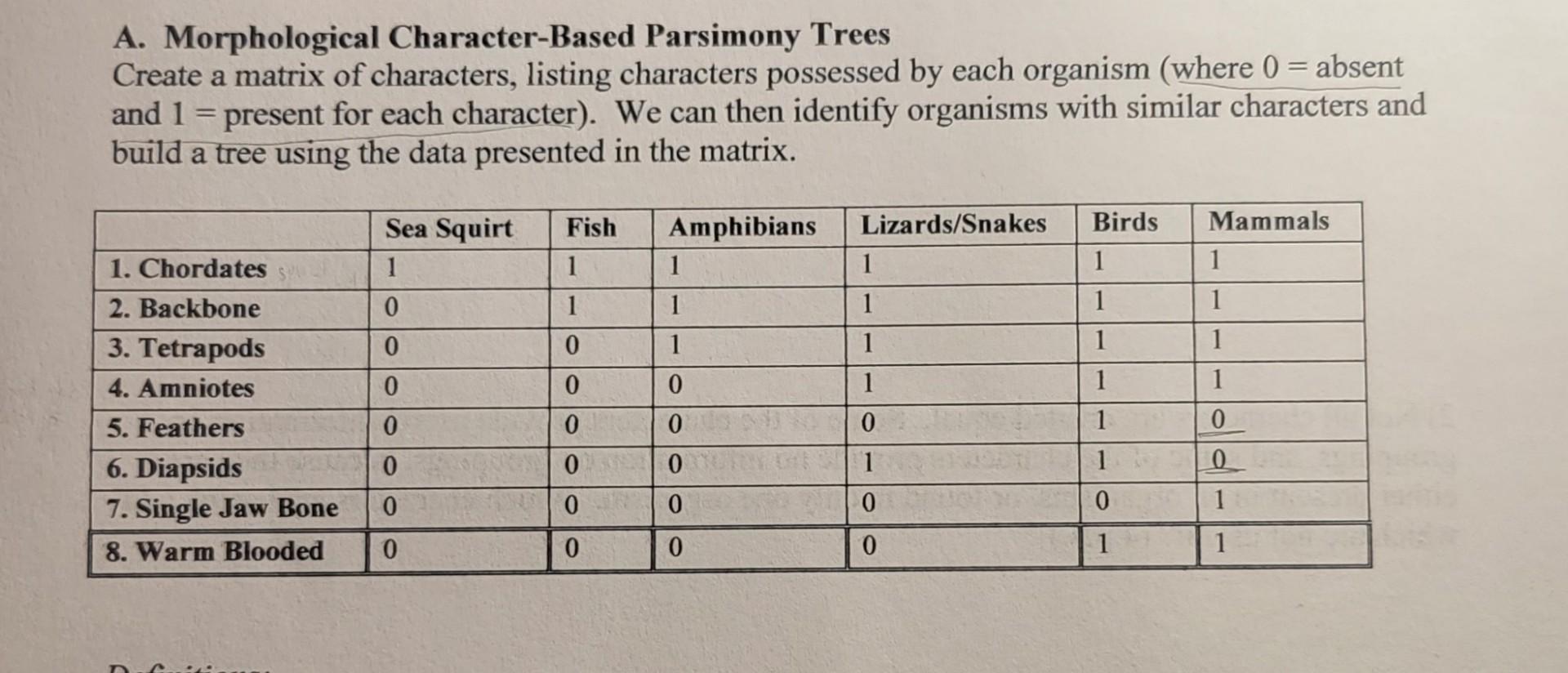 A. Morphological Character-Based Parsimony Trees | Chegg.com