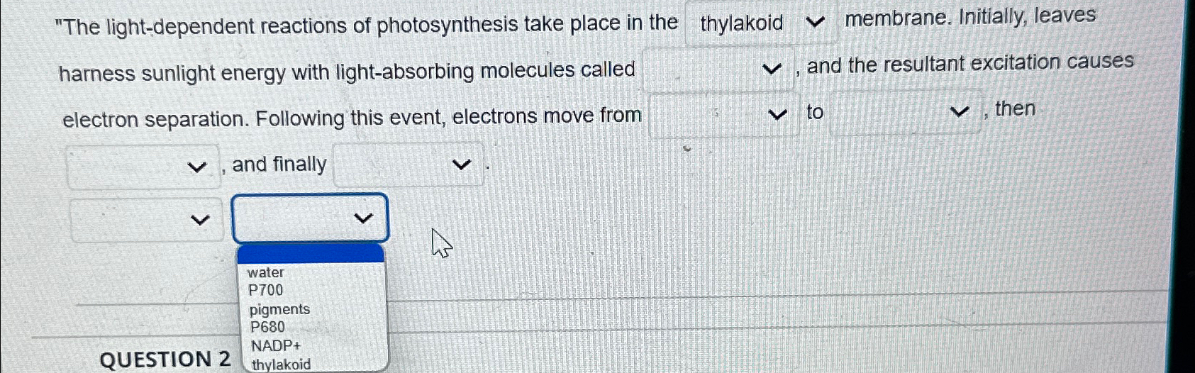 Solved The light-dependent reactions of photosynthesis fill | Chegg.com