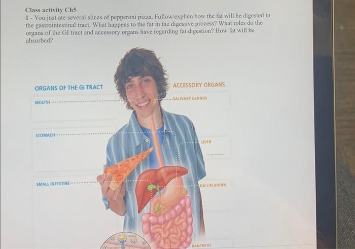 Solved Class activity Ch5 1 - You just ate several slices of | Chegg.com