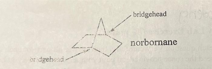 Solved (4) (5 Points) Does norbornane have any chiral | Chegg.com