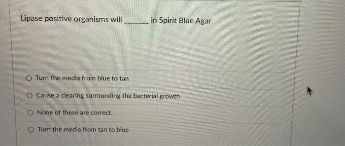 Solved An LIA test was run on an organism that ferments | Chegg.com