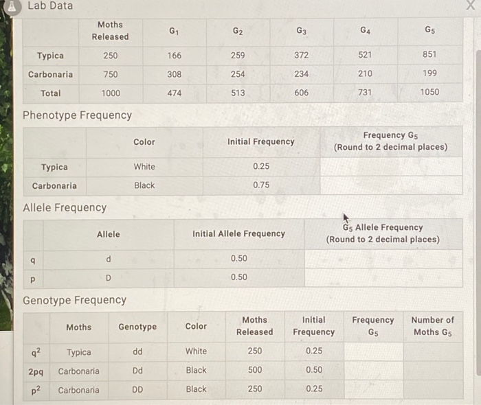 Solved With the choosen initial allele frequencies being | Chegg.com